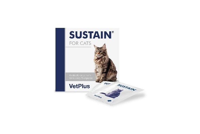 VetPlus launches two supplements for cats - VetSurgeon News ...