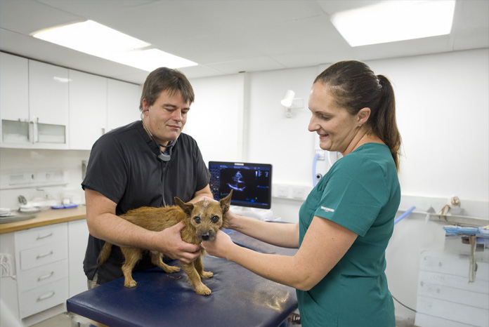 Southern Counties announces 2025 programme of free CPD for vets - VetSurgeon News - VetSurgeon ...