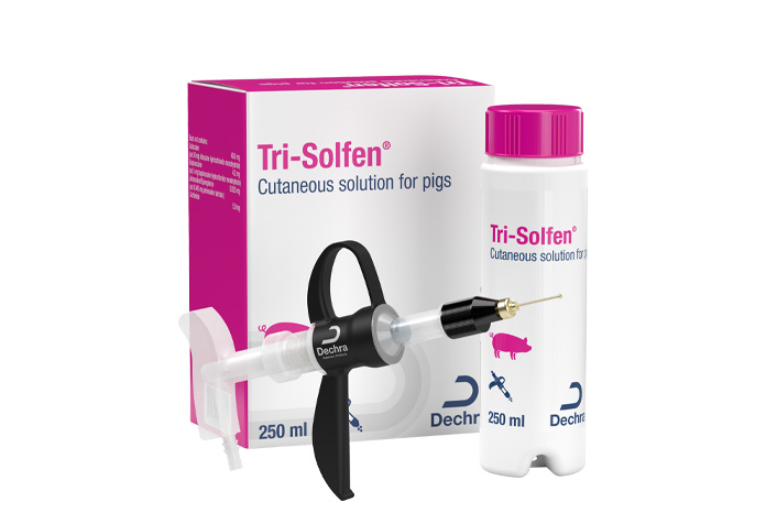 New topical anaesthetic and antiseptic gel for pigs - VetSurgeon News ...