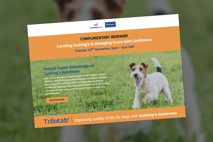 Free Cushing's webinar tomorrow - VetSurgeon News - VetSurgeon.org ...