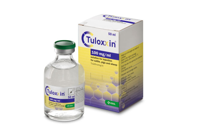 Krka launches Tuloxxin for bovine respiratory disease - VetSurgeon News ...