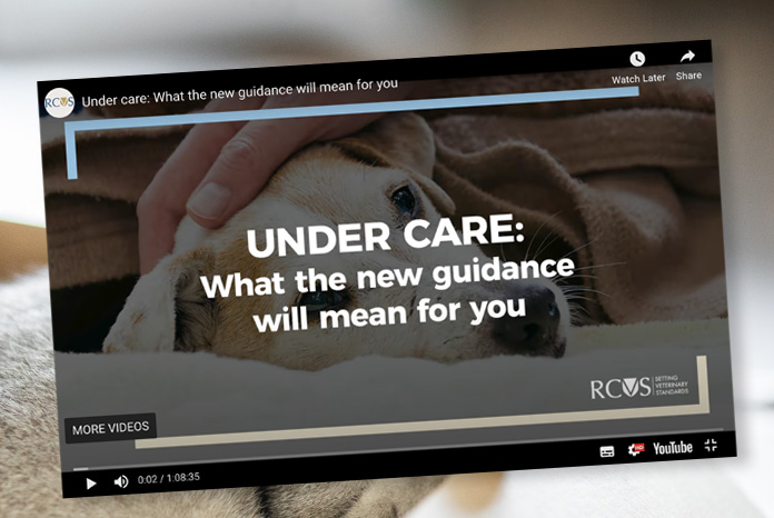 RCVS publishes ‘under care’ webinar and case studies - VetSurgeon News ...