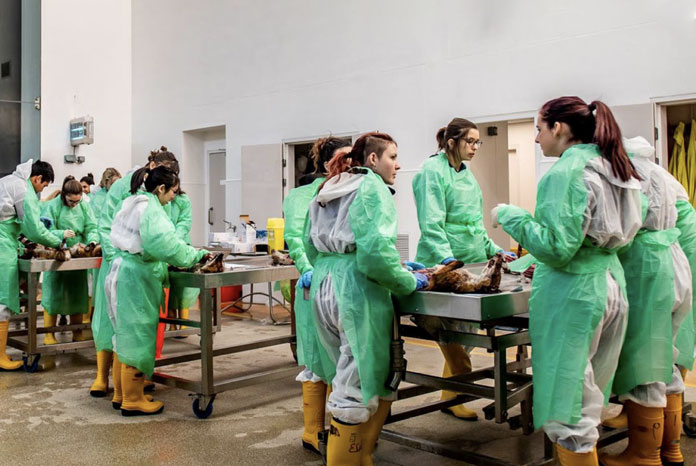 Vet students having to do more and more part-time work - VetSurgeon ...