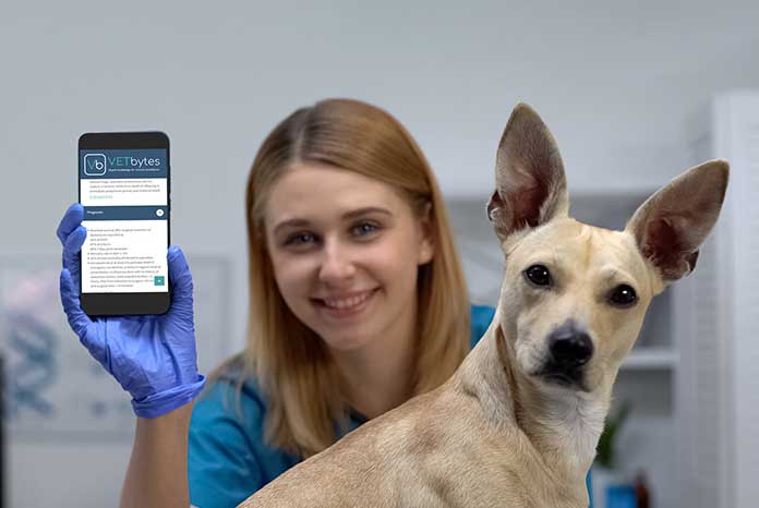 New app gives access to latest veterinary evidence - VetSurgeon News ...