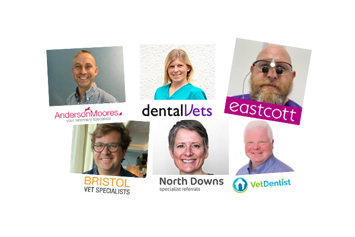 Veterinary dentists step forward to help GP colleagues - VetSurgeon ...