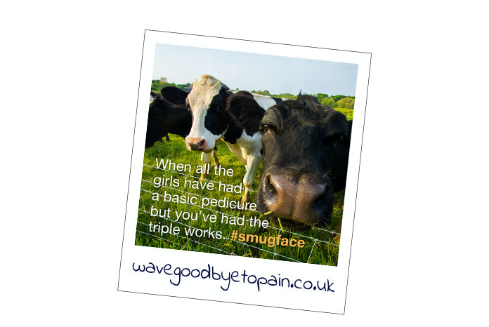 Ceva launches new ‘Wave goodbye to pain’ in cattle campaign ...