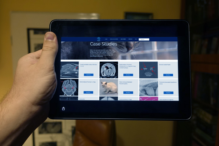New website to help vets manage neurological diseases | Veterinary News ...