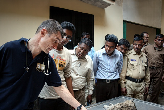 VetCT will match your donation to Wildlife Vets at the London Vet Show ...