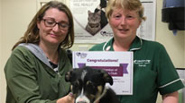 300,000th pet owner joins CVS loyalty scheme | Veterinary News | VetSurgeon