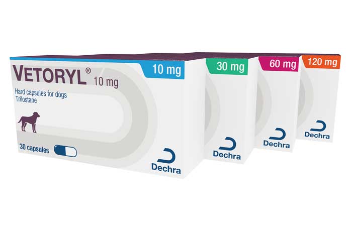 Dechra launches improved monitoring method for Cushingoid dogs ...