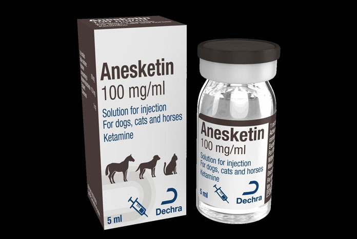 Anesketin now available in smaller vial size - VetSurgeon News ...