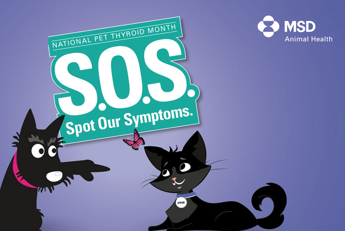 Pet Thyroid Month to launch in July | Veterinary News | VetSurgeon
