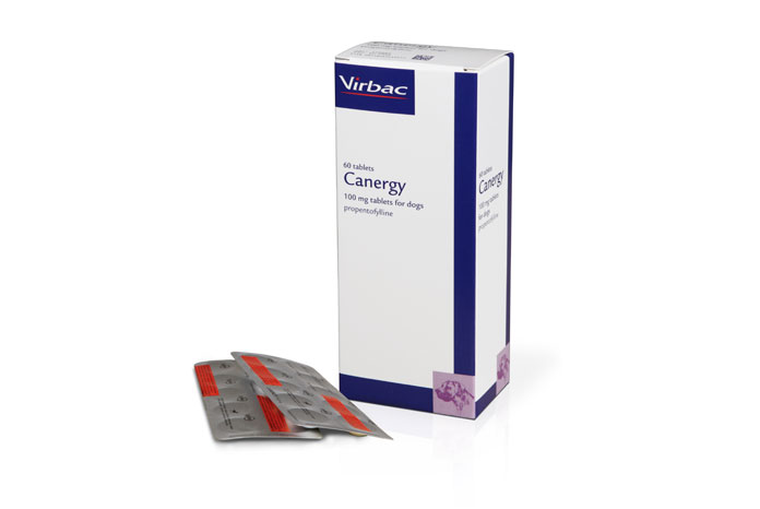 New treatment to give older dogs a bit more vim - VetSurgeon News ...