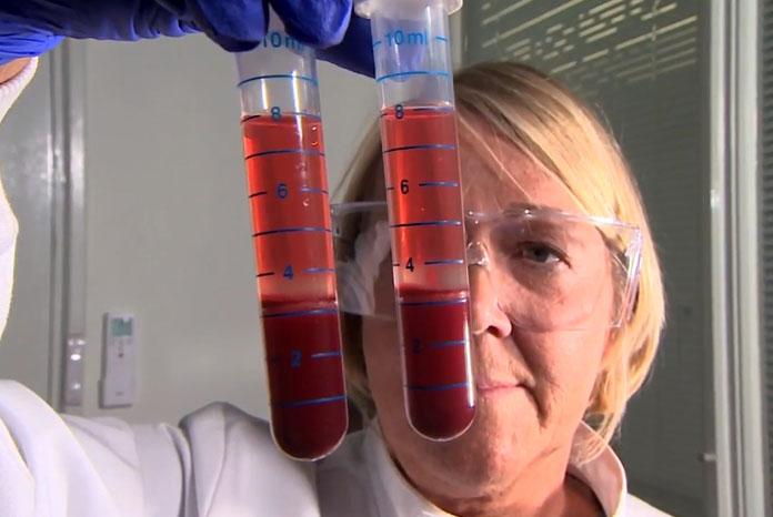 New phage test gives early detection of Johne’s disease in newborn ...