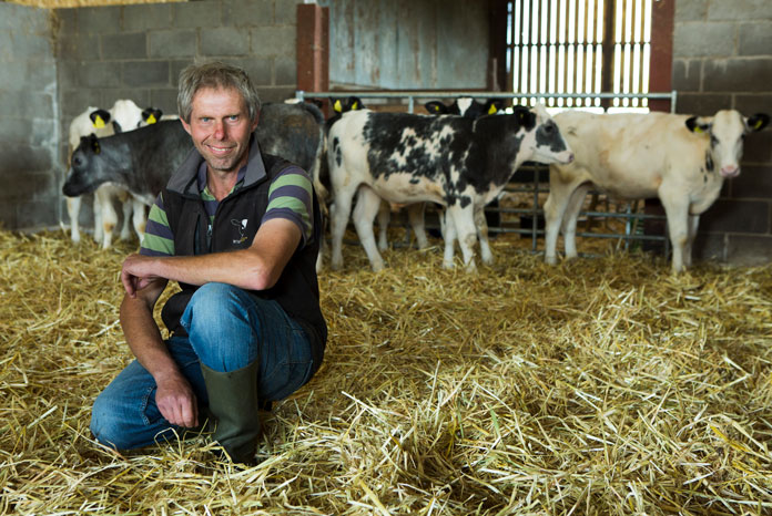 Could NSAIDs help reduce antibiotic use in cattle? - VetSurgeon News ...