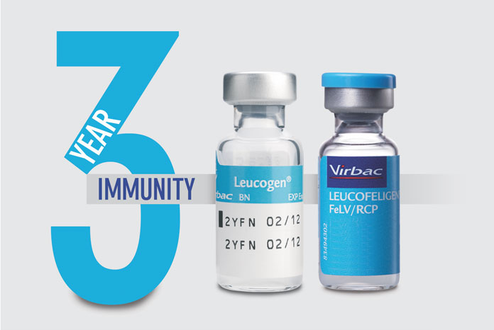 Virbac's FeLV vaccines now give 3 years immunity - VetSurgeon News ...