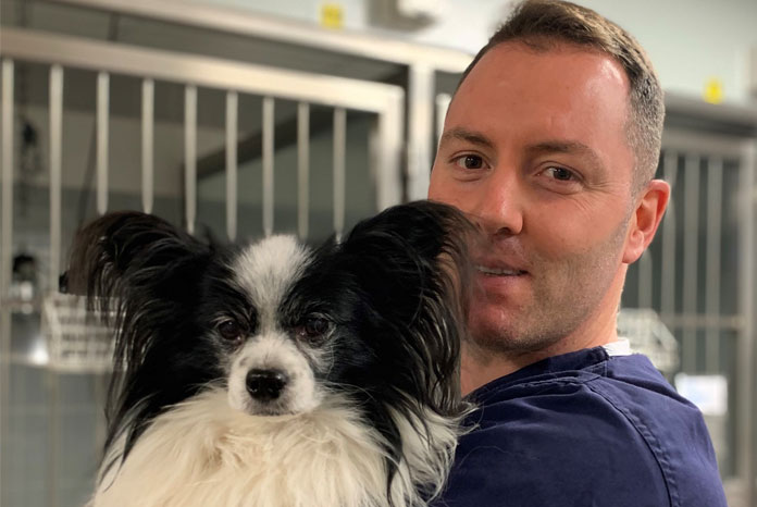 Essex referral centre recruits top neurology specialist | Veterinary ...