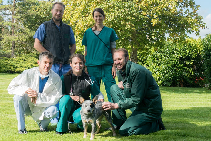 Davies Veterinary Specialists acquired by Linnaeus Group - VetSurgeon ...