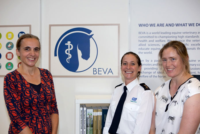 BEVA launches Welfare Case Toolkit - VetSurgeon News - VetSurgeon.org ...