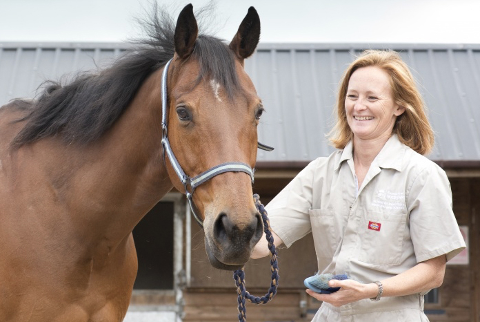 Free CPD, equine colic talk and more at the Nottingham RCVS Regional ...