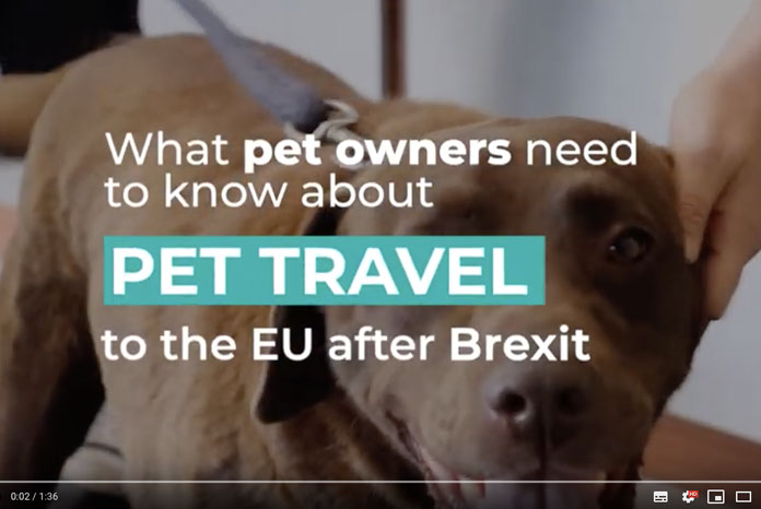 Defra launches Brexit video for vet practices to share with pet owners - VetSurgeon News ...