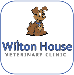 Job: Clinical Director. Wilton House Veterinary Clinic, Redcar and ...