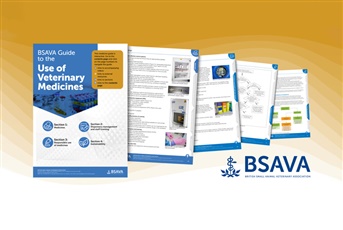 Veterinary News - VetSurgeon News - VetSurgeon.org - VetSurgeon.org