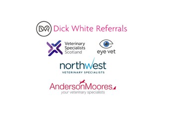 Veterinary News - VetSurgeon News - VetSurgeon.org - VetSurgeon.org