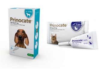 Veterinary News - VetSurgeon News - VetSurgeon.org - VetSurgeon.org