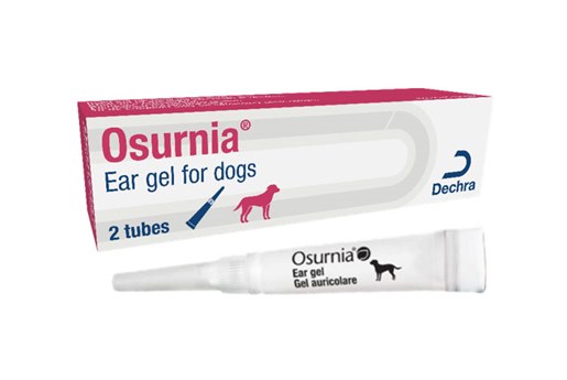 Veterinary News - VetSurgeon News - VetSurgeon.org - VetSurgeon.org