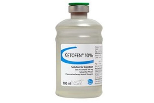 Veterinary News - VetSurgeon News - VetSurgeon.org - VetSurgeon.org