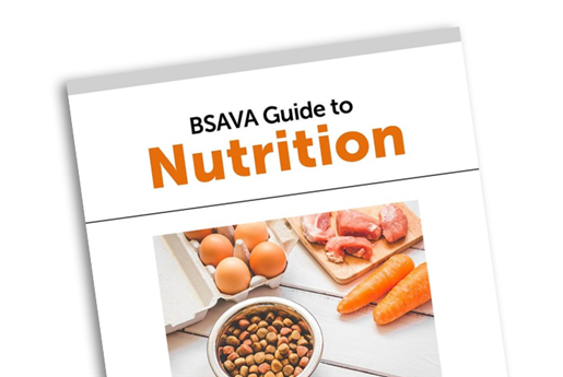 Veterinary News - VetSurgeon News - VetSurgeon.org - VetSurgeon.org