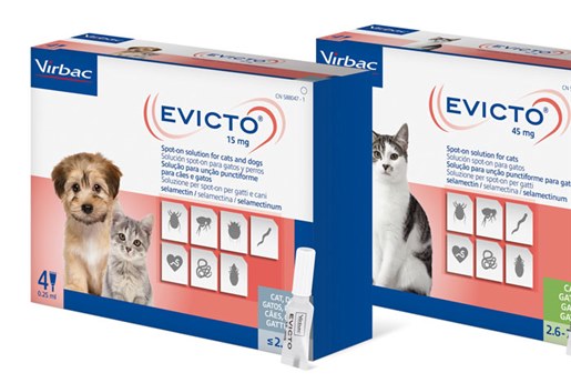 Veterinary News - VetSurgeon News - VetSurgeon.org - VetSurgeon.org