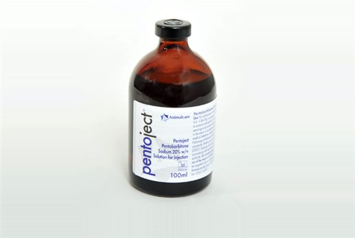 Veterinary News - VetSurgeon News - VetSurgeon.org - VetSurgeon.org