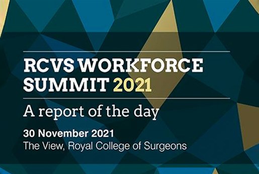 Veterinary News - VetSurgeon News - VetSurgeon.org - VetSurgeon.org