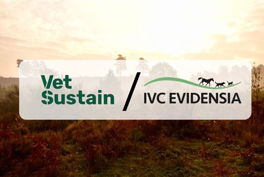 Veterinary News - VetSurgeon News - VetSurgeon.org - VetSurgeon.org