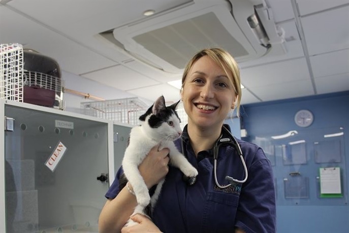 Veterinary News - VetSurgeon News - VetSurgeon.org - VetSurgeon.org