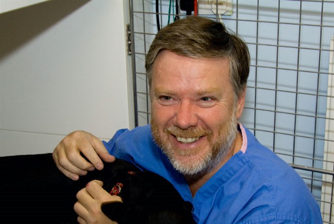 Veterinary News - VetSurgeon News - VetSurgeon.org - VetSurgeon.org