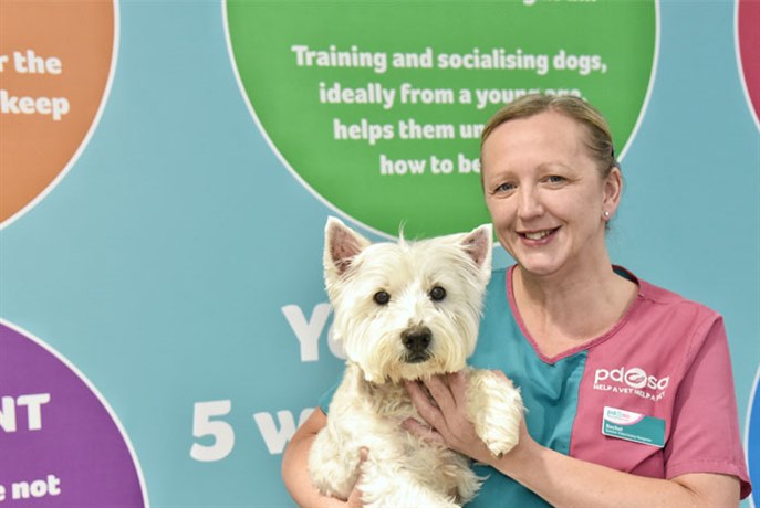 Veterinary News - VetSurgeon News - VetSurgeon.org - VetSurgeon.org