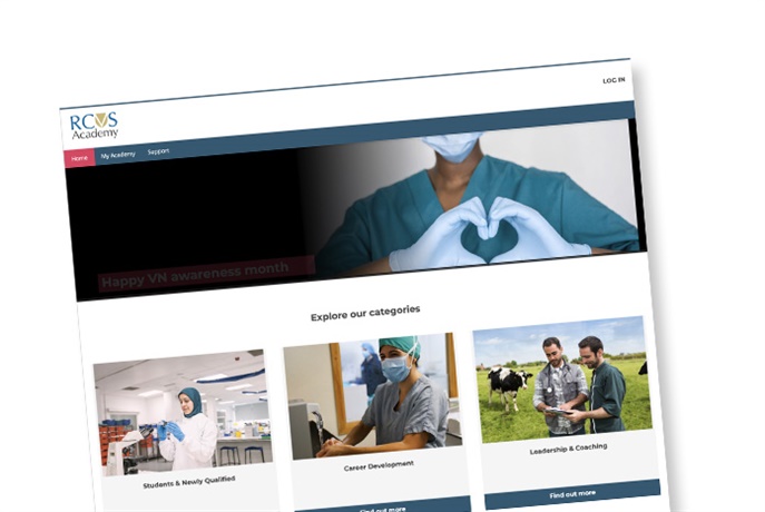 RCVS & DC News - VetSurgeon News - VetSurgeon.org - VetSurgeon.org