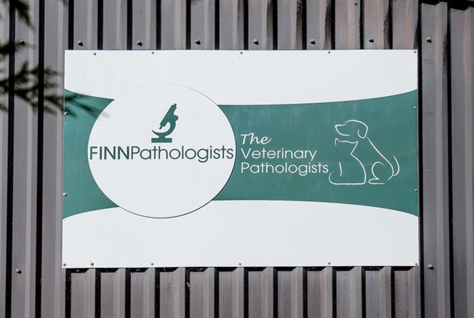 Veterinary News - VetSurgeon News - VetSurgeon.org - VetSurgeon.org