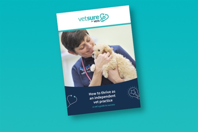 Veterinary News - VetSurgeon News - VetSurgeon.org - VetSurgeon.org