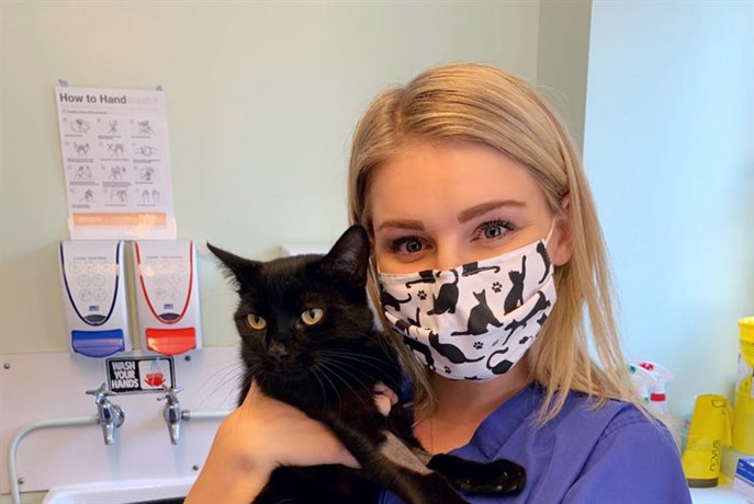 Veterinary News - VetSurgeon News - VetSurgeon.org - VetSurgeon.org