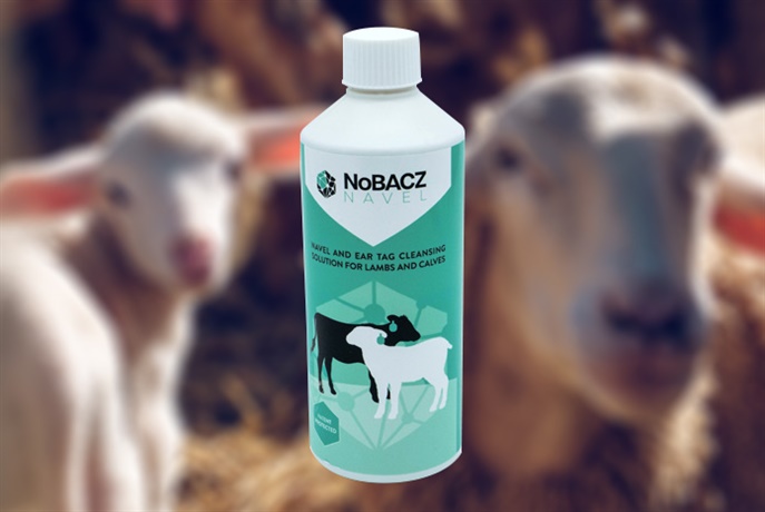 Veterinary News - VetSurgeon News - VetSurgeon.org - VetSurgeon.org