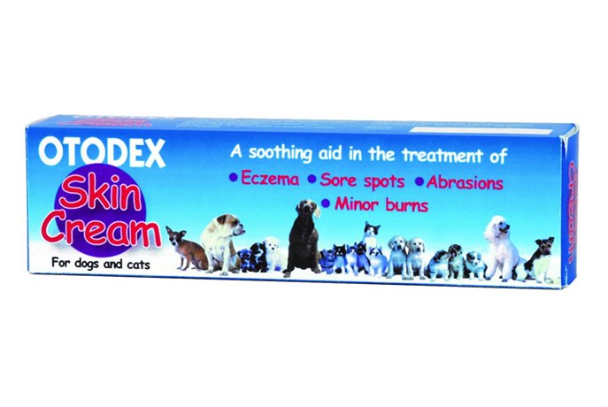 Veterinary News - VetSurgeon News - VetSurgeon.org - VetSurgeon.org