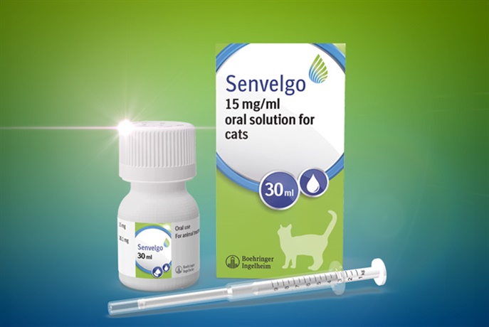 Veterinary News - VetSurgeon News - VetSurgeon.org - VetSurgeon.org