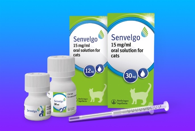 Veterinary News - VetSurgeon News - VetSurgeon.org - VetSurgeon.org