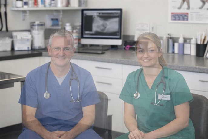 VetSurgeon.org