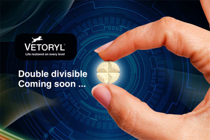 Veterinary News - VetSurgeon News - VetSurgeon.org - VetSurgeon.org