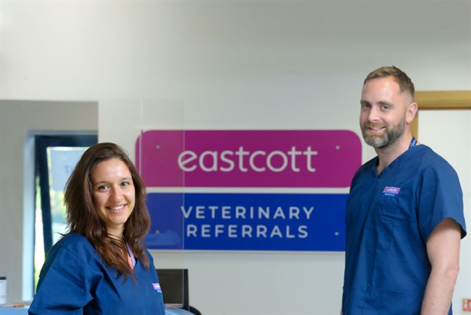 Veterinary News - VetSurgeon News - VetSurgeon.org - VetSurgeon.org